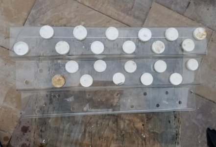 DIY frag/ holding rack for perimeter of tank | Reef Central Online ...